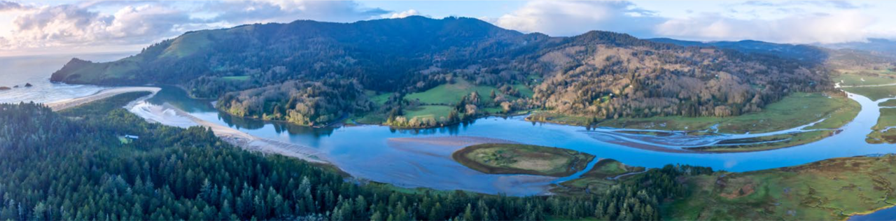 Landscape Header Westwind